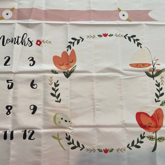 Other | Monthly Milestone Blanket Photography Background | Poshmark